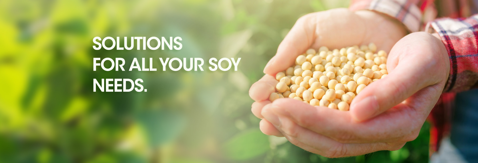 Solbar Ningbo Protein Technology Co.,Ltd.